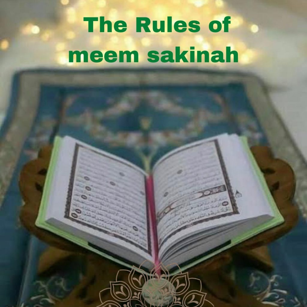 The 3 Rules of meem Sakinah - Qurany Academy